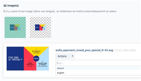 multi language file fields · issue 372 · processwire processwire requests · github