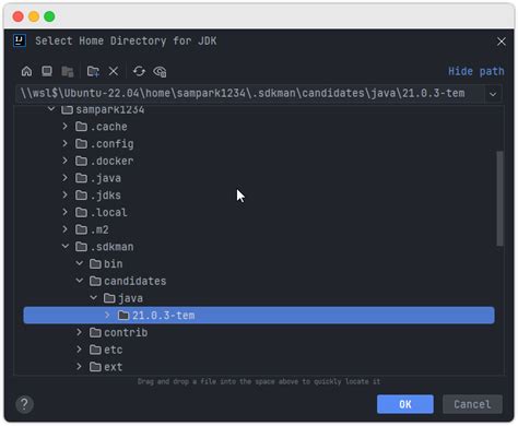 Window Wsl Linux Distro 에 Intellij Java Project 구성하는 방법