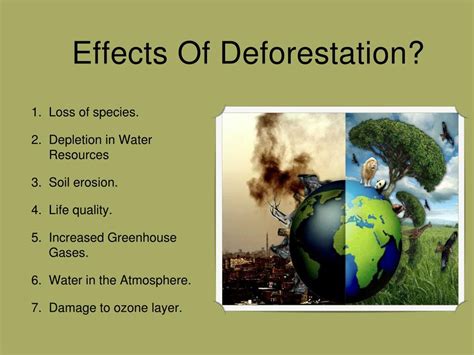 What Are The Environmental Effects Of Deforestation Gas Furnace