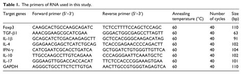 The Primers Of RNA Used In This Study Download Scientific Diagram