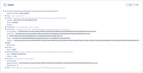 Inspect A Container Portainer Documentation
