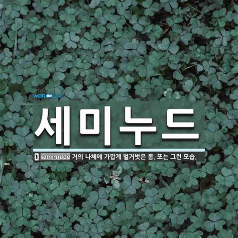 세미누드 뜻 거의 나체에 가깝게 벌거벗은 몸 또는 그런 모습