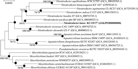 The Phylogenetic Trees Based On Based On Nucleotide Sequences From 20 Download Scientific