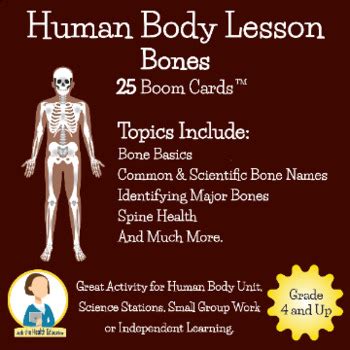 Human Body Bones Skeleton Science By Ask The Health Educator TPT