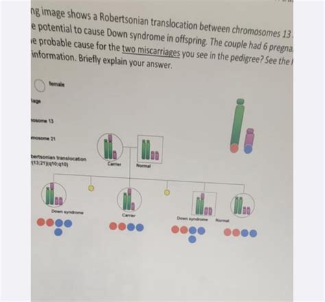 Solved Ng Image Shows A Robertsonian Translocation Between