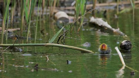 Cutebottomlessgirlsdancingonshortdresses Videos Download The Best Free 4k Stock Video