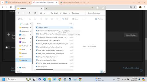 Sims Just Stand There Removes Clothes And Put Them Back On Again Instead Of Playing Animations