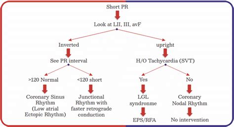 A Journey Through Interesting ECGs Part CME INDIA