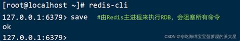 Redis持久化 极客之音