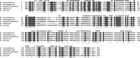 A Novel Chromate Reductase From Thermus Scotoductus Sa 01 Related To Old Yellow Enzyme Journal