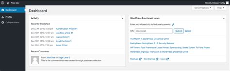 How To Create Backend Plugin In WordPress ThemeWaves