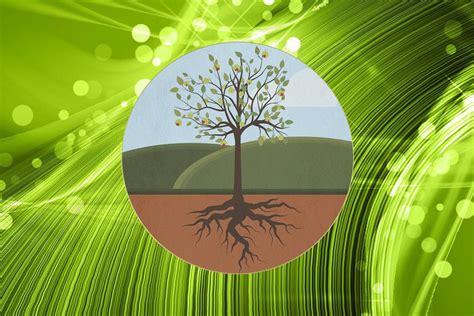 SEED Technical Manual Employability