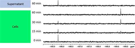 Nmr Based Activity Assays For Determining Compound Inhibition Ic 50