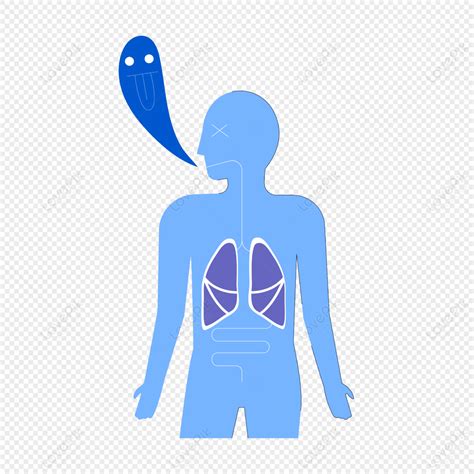 人體講解圖png圖案素材免費下載，可愛卡通圖片，尺寸2000 × 2000px Lovepik