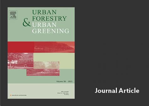 Cellular Automata Urban Simulation Peak Urban