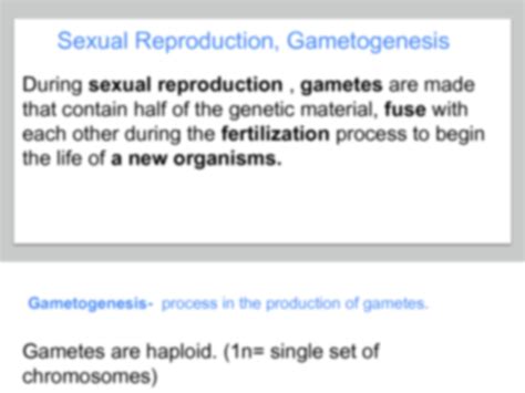 SOLUTION Module Lesson Sexual Reproduction Studypool