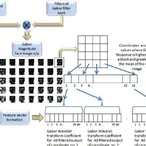 Flow Chart For Feature Vector Construction Download Scientific Diagram