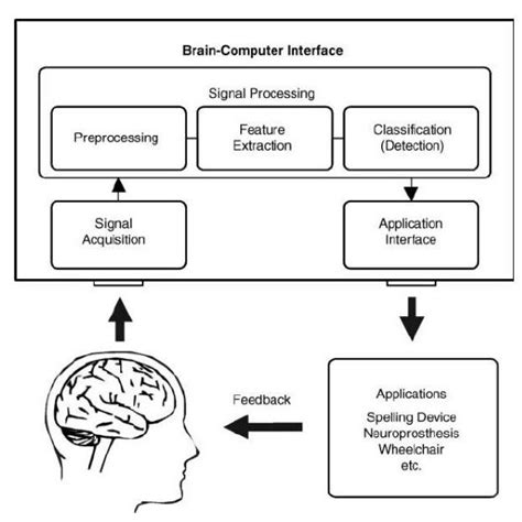brain computer interfaces signal acquisition methods download scientific diagram