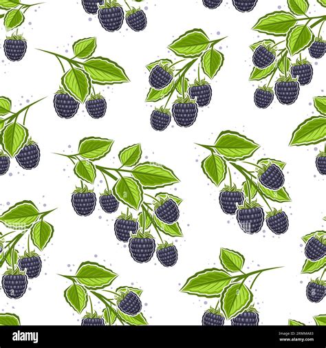 Vector Blackberry Branches Seamless Pattern Square Repeat Background