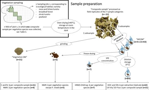 Sampling Protocol And Sample Preparation Method Summarized For Each Download Scientific