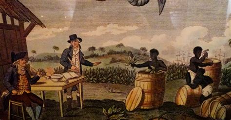 Maryland Colony Tobacco