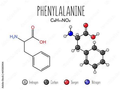 Phenylalanine Amino Acid Representation Skeletal Formula And 2d