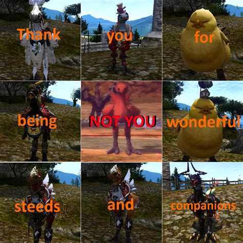 Thanking The Chocobos For Their Hard Work Red Comet Know Your Meme