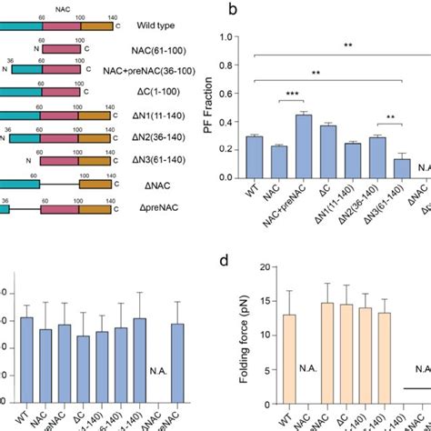In Situ Magnetic Tweezer Based Single Molecule Approach A Download Scientific Diagram