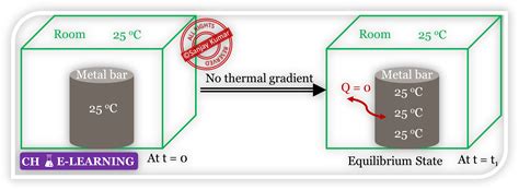 Differentiate Between Steady State And Equilibrium State Insight Into Chemical Engineering