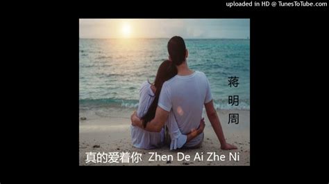 Chen De Ai Zhe Ni Zhen De Ai Zhao Ni 真的爱着你 I Really Love You
