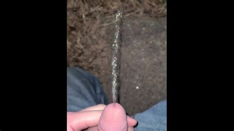 Pissing Off The Sidewalk K