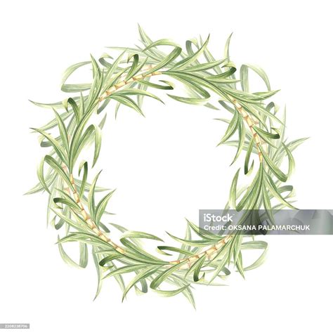 사탕 수수 줄기 잎 수채화 화환 고립 줄기와 녹색 잎으로 만든 둥근 프레임 죽순의 손으로 그린 그림 음식 디자인을 위한 스케치