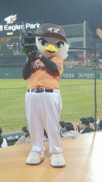 한화이글스 마스코트 위니의 카메라 체험ㅋㅋㅋ Youtube