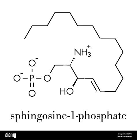 Sphingosine Structure