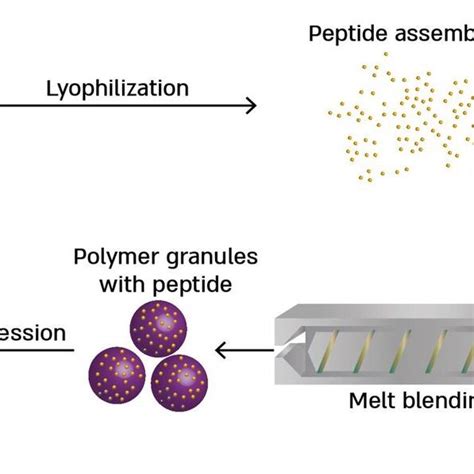 Physical Characterization Of The Polymer Lms A Thermogravimetric