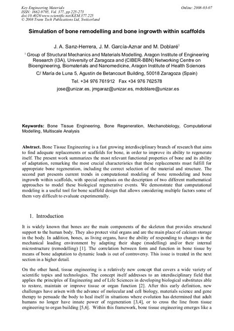 Simulation Of Bone Remodelling And Bone Ingrowth Within Scaffolds Scientificnet