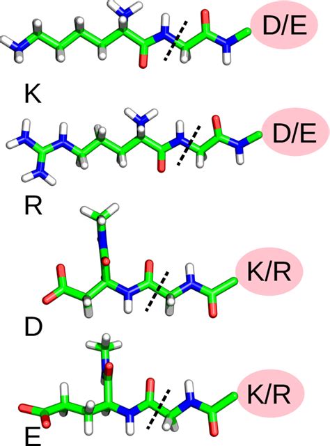Figure 5 From Understanding The Role Of Intramolecular Ion Pair