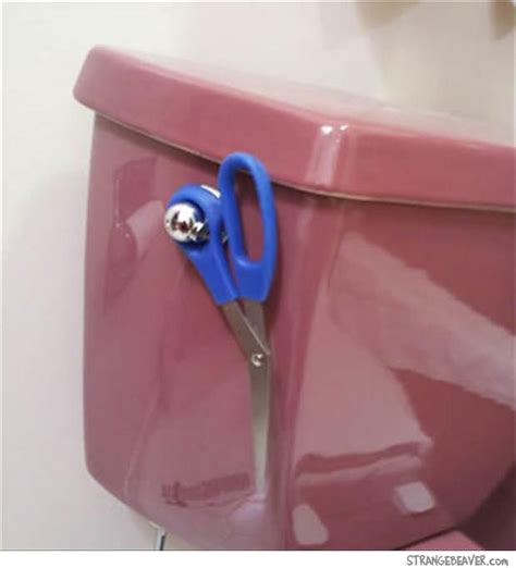 Redneck Solutions Strange Beaver Redneck Solutions Strange Beaver