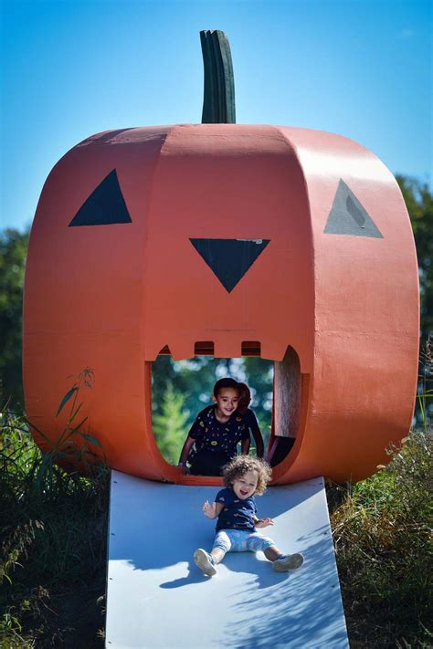 Kansas City Area Pumpkin Patches Kearney Louisburg And More Kansas