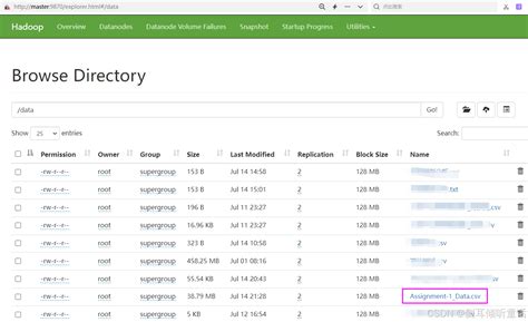 8 大数据集群（pyspark）mysqlpyechartsflask：购物篮数据分析与挖掘pyspark使用集群环境开发 Csdn博客