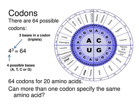 The Molecule Of Life Ppt Download