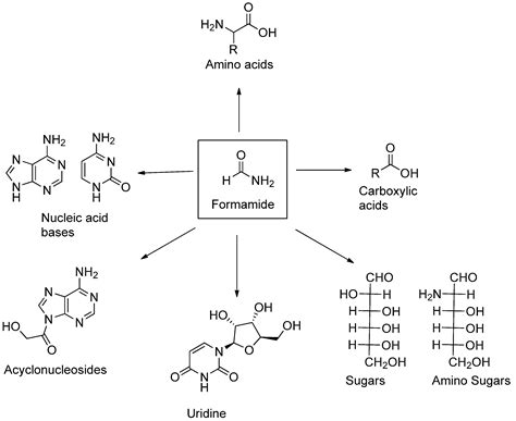 Formamida Details Of The Formamide Structures Examined In This Work