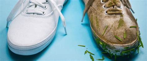 Pure Vs Impure Functions Dev Community