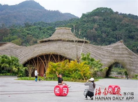 组图｜五指山市水满乡毛纳村：冬日乡村旅游热