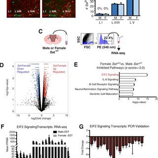 Transcriptomic Analysis Reveals Differential Expression In Male And Download Scientific Diagram