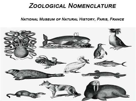 Courses Dest Distributed European School Of Taxonomy