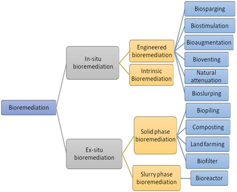 Bioremediation Examples