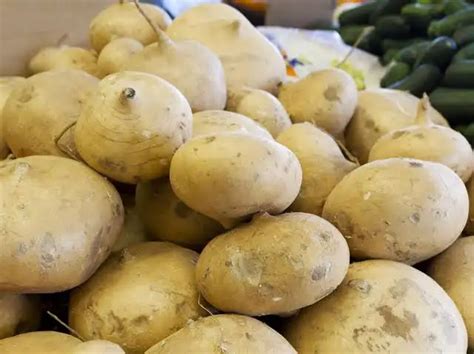 24 Types Of Root Vegetables List Of Root Vegetables With Pictures