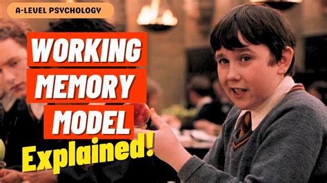 Working Memory Model Explained Aqa Psychology A Level Youtube