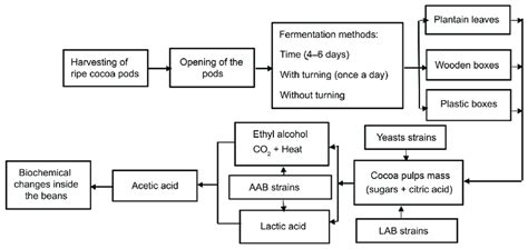 Spontaneous Cacao Bean Fermentation Methods Performed In Ivory Coast Download Scientific